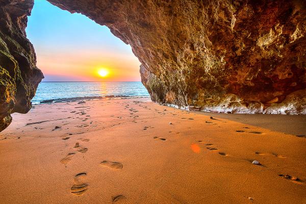 Behaveability – Seminar